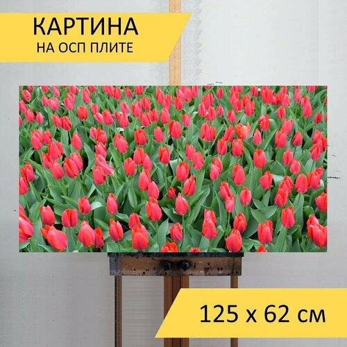 Картина на ОСП 125х62 см. "Тюльпаны, красный, цветы" горизонтальная, для интерьера, с креплениями