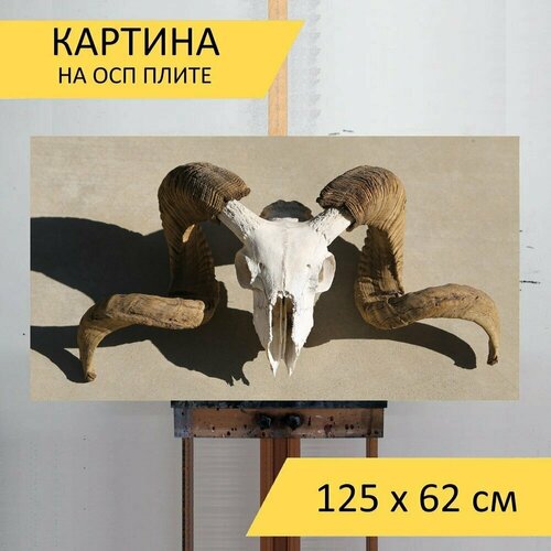 Картина на ОСП 125х62 см. "Череп, млекопитающее, рог" горизонтальная, для интерьера, с креплениями