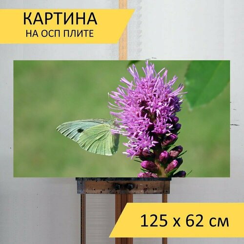 Картина на ОСП 125х62 см. "Бабочка, цветок, насекомое" горизонтальная, для интерьера, с креплениями
