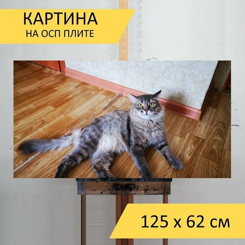 Картина на ОСП 125х62 см. "Кошка, кошка дома, котенок дома" горизонтальная, для интерьера, с креплениями