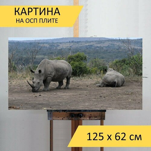 Картина на ОСП 125х62 см. "Белый носорог, носорог, южная африка" горизонтальная, для интерьера, с креплениями