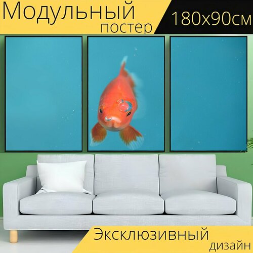 Модульный постер "Рыбы, золотая рыбка, красный" 180 x 90 см. для интерьера