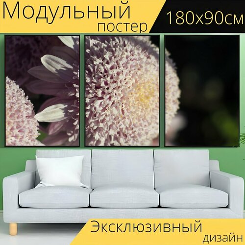 Модульный постер "Хризантема, сад, осень" 180 x 90 см. для интерьера