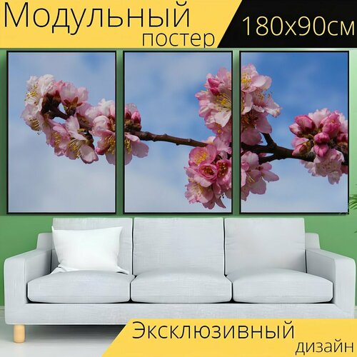 Модульный постер "Миндальные цветочки, расцветает, дерево" 180 x 90 см. для интерьера