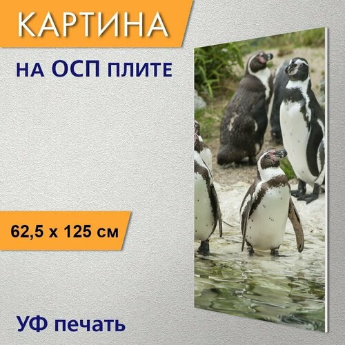 Вертикальная картина на ОСП "Пингвины, животные, очки пингвин" 62x125 см. для интерьериа