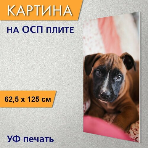 Вертикальная картина на ОСП "Собака, щенок, домашний питомец" 62x125 см. для интерьериа