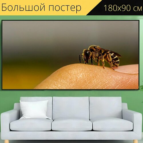 Большой постер "Природа, насекомое, дикая пчела" 180 x 90 см. для интерьера