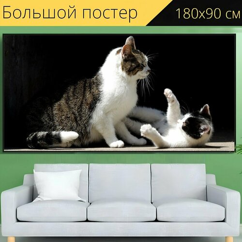 Большой постер "Кот, семейство кошачьих, котенок" 180 x 90 см. для интерьера