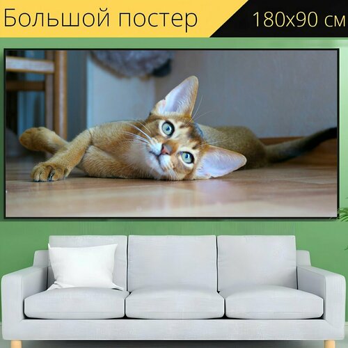 Большой постер "Абиссинские котята, абиссинская кошка, абиссинский котенок" 180 x 90 см. для интерьера