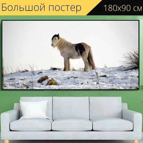 Большой постер "Пони, лошадь, снег" 180 x 90 см. для интерьера
