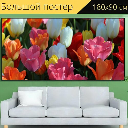 Большой постер "Тюльпаны, сад, ботанический" 180 x 90 см. для интерьера