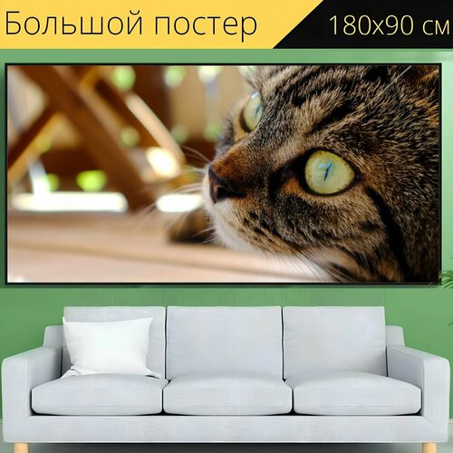 Большой постер "Кот, похмелье, глаза" 180 x 90 см. для интерьера