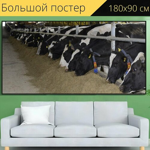 Большой постер "Коровы, ферма, аг" 180 x 90 см. для интерьера
