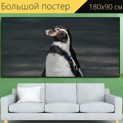 Большой постер "Пингвин, животное, птица" 180 x 90 см. для интерьера