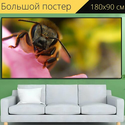 Большой постер "Пчела, пыльца, опыление" 180 x 90 см. для интерьера