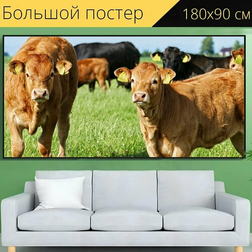 Большой постер "Корова, коровы, крупный рогатый скот" 180 x 90 см. для интерьера