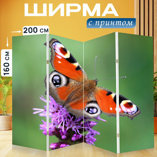 Ширма перегородка с принтом "Павлинья бабочка, бабочка, цвести" на холсте - 200x160 см. для зонирования, раскладная