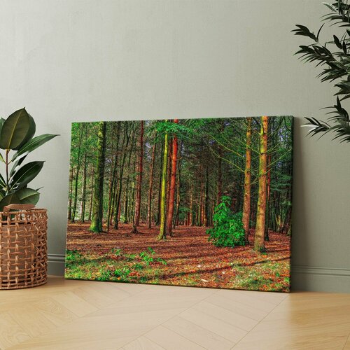 Картина на холсте (Лес с множеством деревьев и листьев) 30x40 см. Интерьерная, на стену.