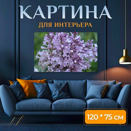 Картина на холсте "Сирень, фиолетовый, весна" на подрамнике 120х75 см. для интерьера