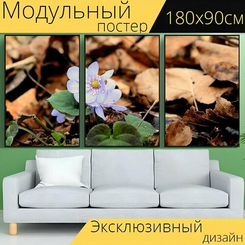 Модульный постер "Печеночник, лес, весна" 180 x 90 см. для интерьера