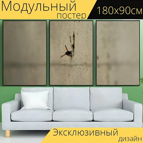 Модульный постер "Пчела, стена, насекомое" 180 x 90 см. для интерьера