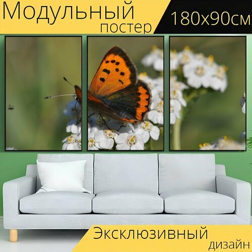 Модульный постер "Медь, бабочка, бабочки" 180 x 90 см. для интерьера