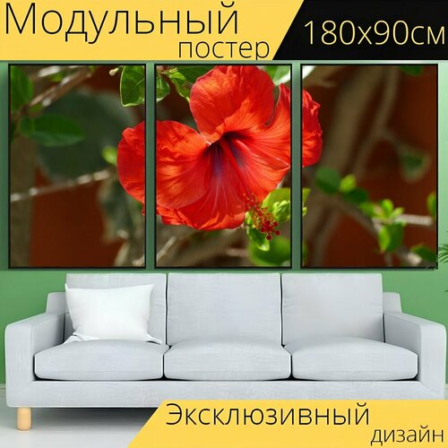 Модульный постер "Гибискус, цветок, красный" 180 x 90 см. для интерьера
