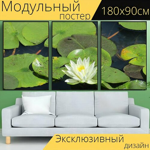Модульный постер "Водяная лилия, лилии, водные растения" 180 x 90 см. для интерьера