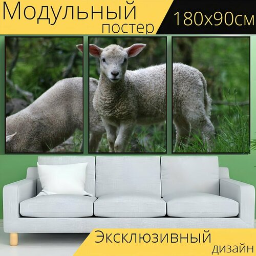 Модульный постер "Ягненок, природа, овец" 180 x 90 см. для интерьера