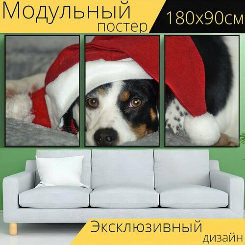 Модульный постер "Рождество, собака, добрый" 180 x 90 см. для интерьера