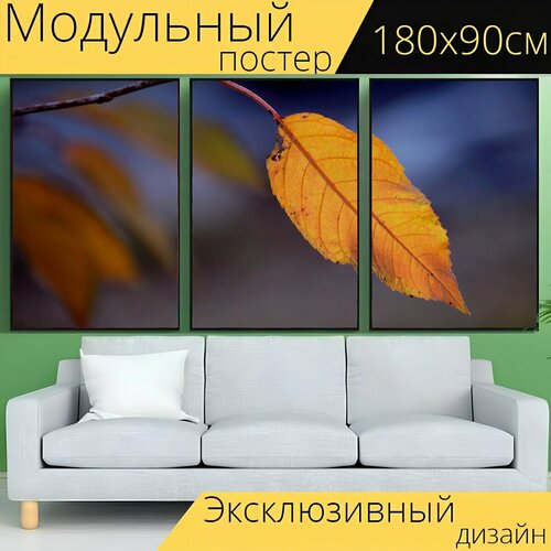 Модульный постер "Падение, осенние листья, лист" 180 x 90 см. для интерьера