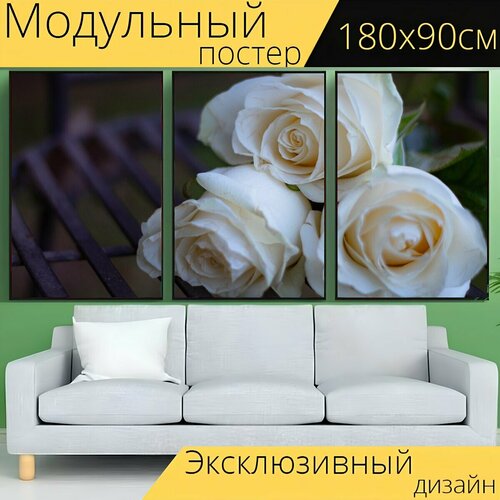 Модульный постер "Роза, белая роза, розы" 180 x 90 см. для интерьера