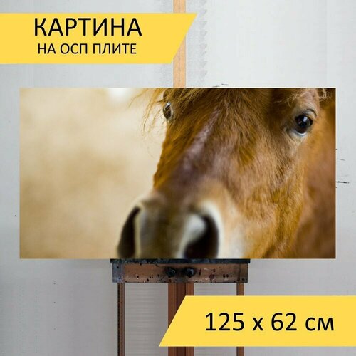 Картина на ОСП 125х62 см. "Лошадь, лошади, природа" горизонтальная, для интерьера, с креплениями