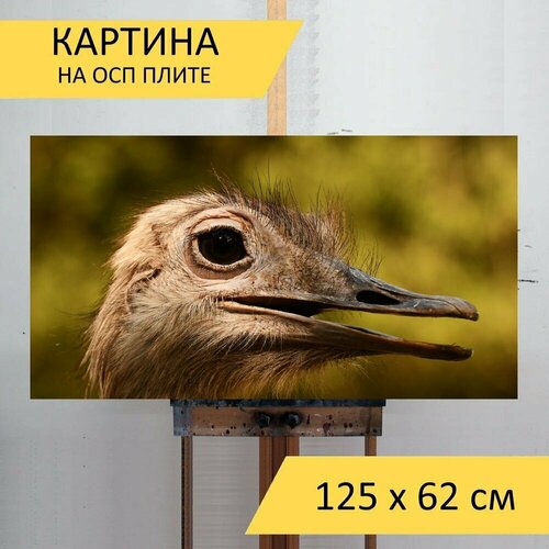 Картина на ОСП 125х62 см. "Страус, птица, животное" горизонтальная, для интерьера, с креплениями