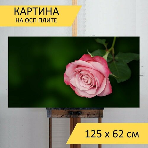 Картина на ОСП 125х62 см. "Роза, розовый, любовь" горизонтальная, для интерьера, с креплениями