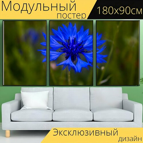 Модульный постер "Васильковый, небо голубое, цветок" 180 x 90 см. для интерьера