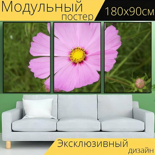 Модульный постер "Сад цветок бабочка, космея семена космоса, розовый" 180 x 90 см. для интерьера