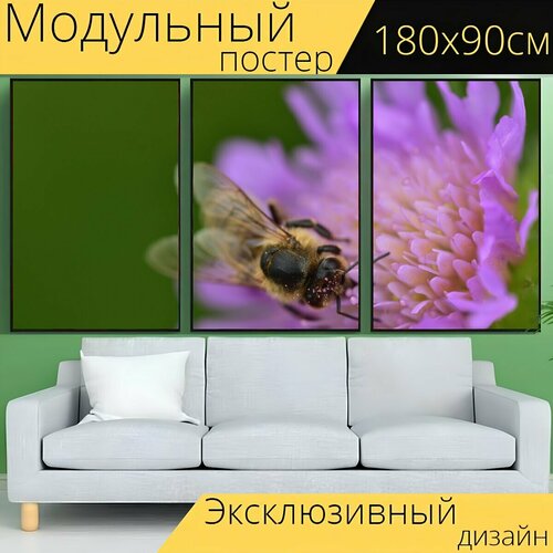Модульный постер "Пчела, цвести, цветок" 180 x 90 см. для интерьера