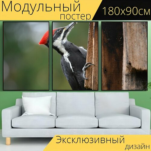 Модульный постер "Птица, дятел, пестрый дятел" 180 x 90 см. для интерьера