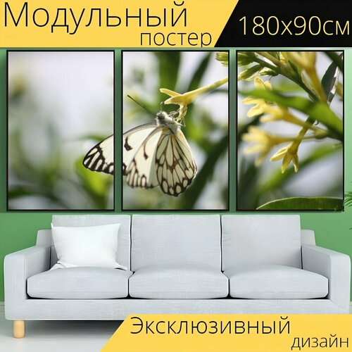 Модульный постер "Бабочка, опылять, красивая" 180 x 90 см. для интерьера