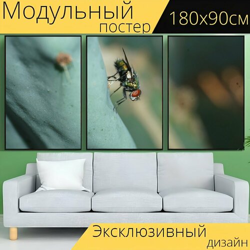 Модульный постер "Летать, насекомое, жук" 180 x 90 см. для интерьера