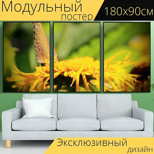 Модульный постер "Расцветает, бабочка, желтый" 180 x 90 см. для интерьера