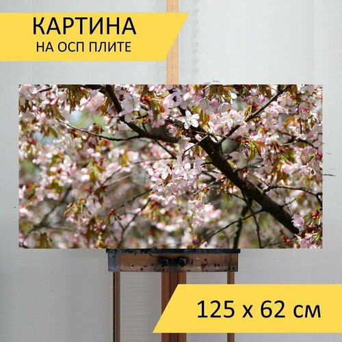 Картина на ОСП 125х62 см. "Цветы, сакура, вишня" горизонтальная, для интерьера, с креплениями