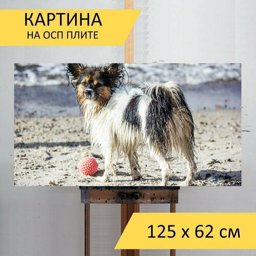 Картина на ОСП 125х62 см. "Собака, домашнее животное, мяч" горизонтальная, для интерьера, с креплениями