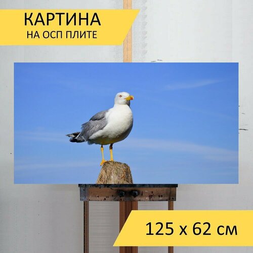 Картина на ОСП 125х62 см. "Чайка, летом, птица" горизонтальная, для интерьера, с креплениями
