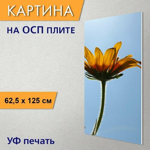 Вертикальная картина на ОСП "Цветок, рудбекия, красивый цветок" 62x125 см. для интерьериа