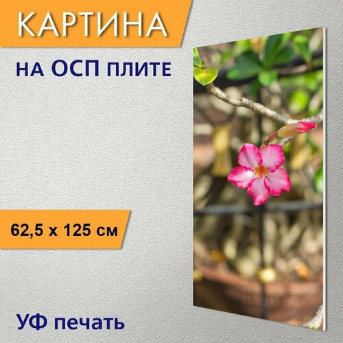 Вертикальная картина на ОСП "Цвести, летом, флора" 62x125 см. для интерьериа