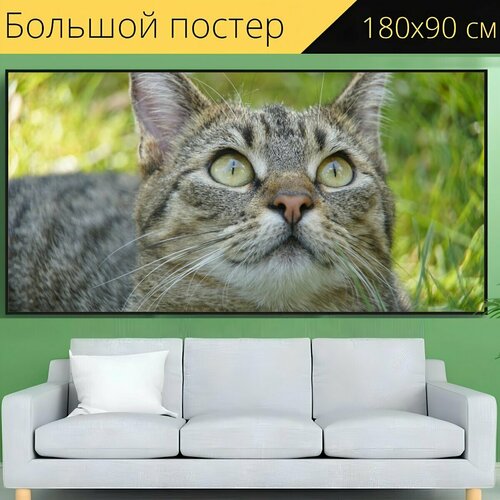 Большой постер "Внимание, играть, кошка" 180 x 90 см. для интерьера