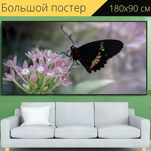 Большой постер "Бабочка, бабочки, природа" 180 x 90 см. для интерьера