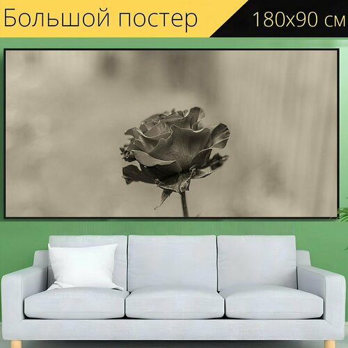 Большой постер "Роза, цветок, природа" 180 x 90 см. для интерьера